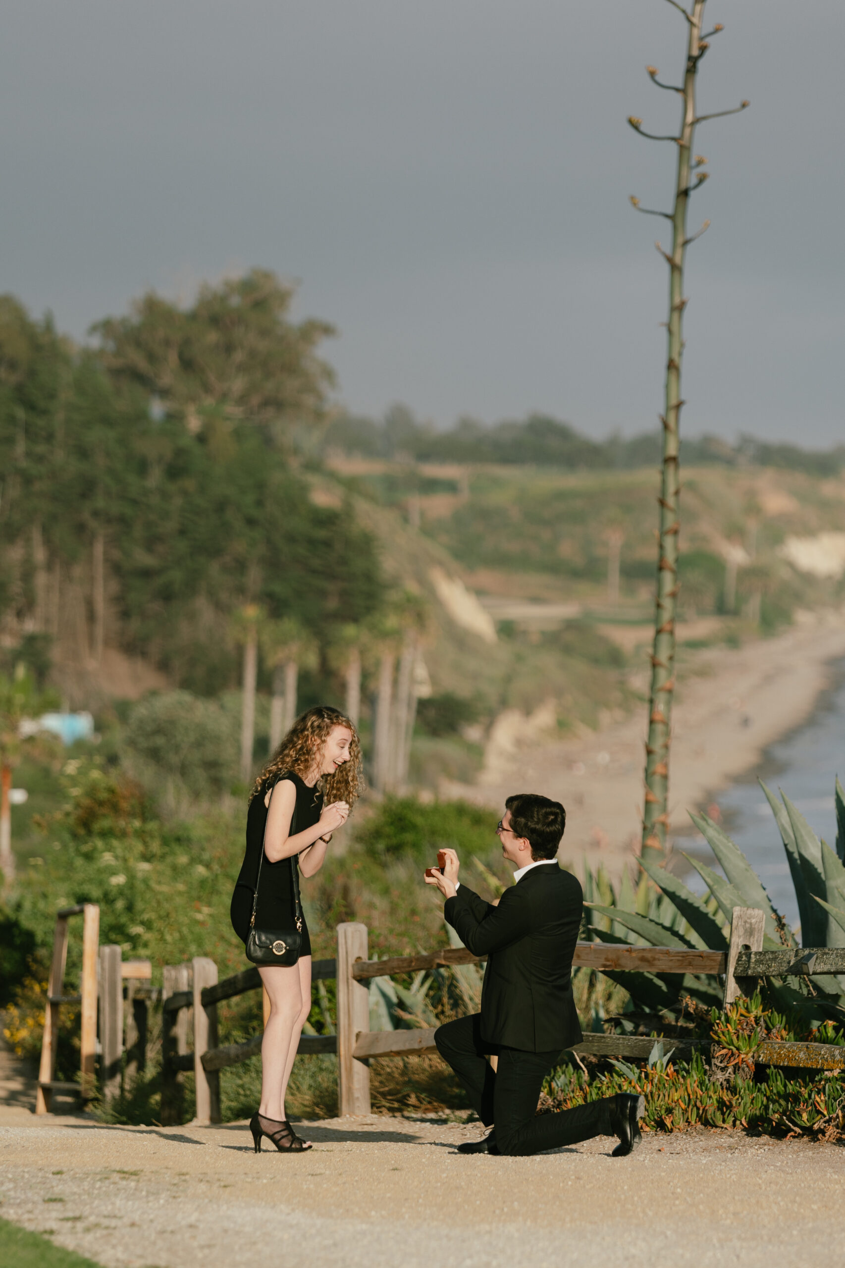 Planning The Perfect Proposal